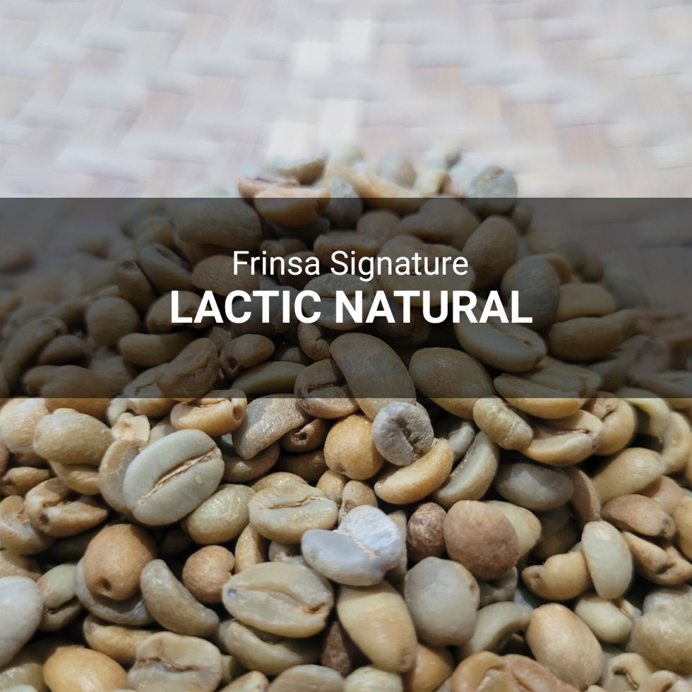 Home - Java Frinsa Estate