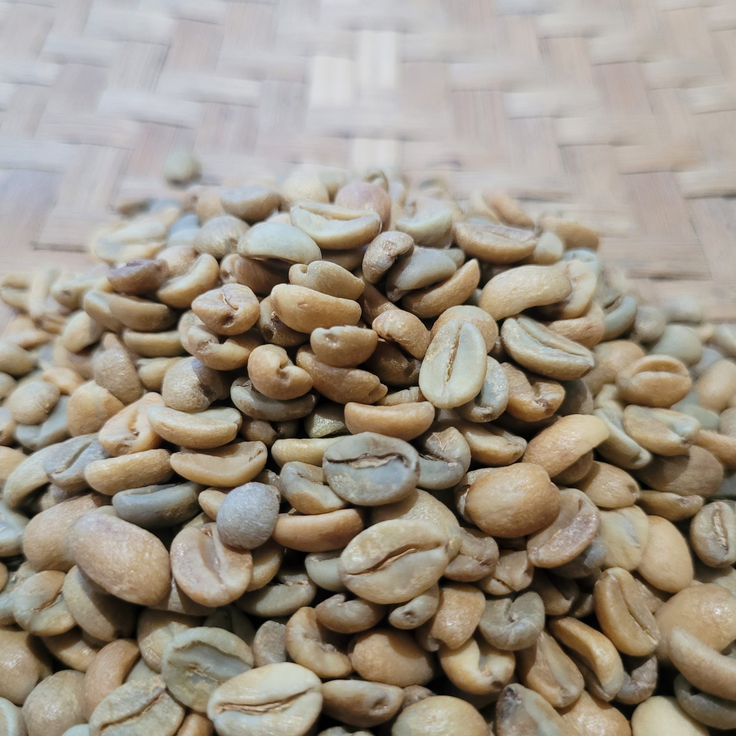 Home - Java Frinsa Estate